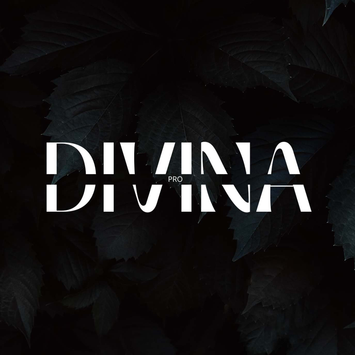 Accueil - Divina-pro | Machines professionnelles